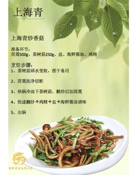 蒿菜和茼蒿的区别_哪个更好吃-第2张图片-山城妙识