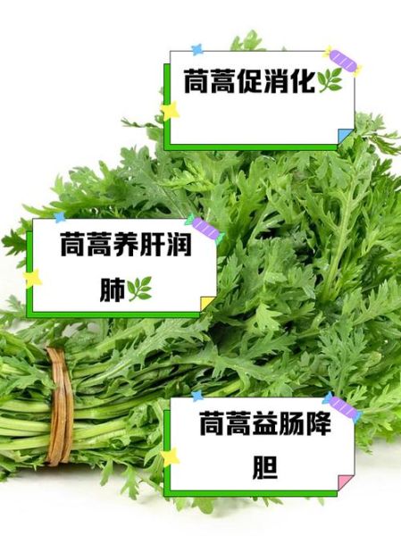 蒿菜和茼蒿的区别_哪个更好吃-第3张图片-山城妙识