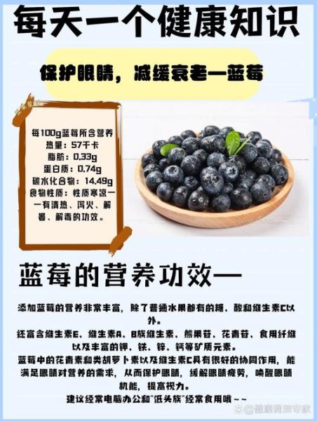 蓝莓一天吃多少为宜_吃蓝莓的最佳时间-第1张图片-山城妙识