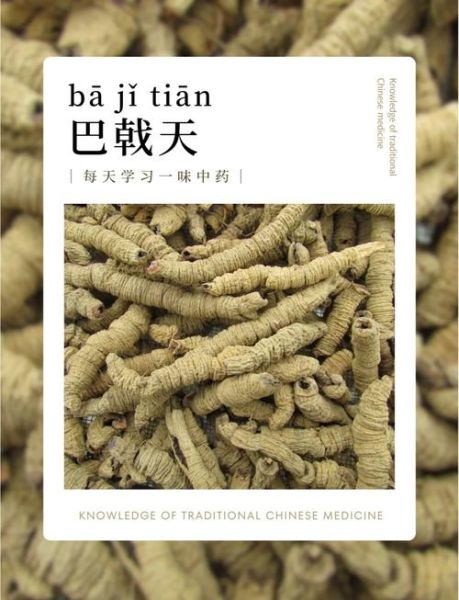 巴戟天图片长什么样_如何辨别真假巴戟天-第1张图片-山城妙识 巴戟天图片长什么样_如何辨别真假巴戟天-第1张图片-山城妙识