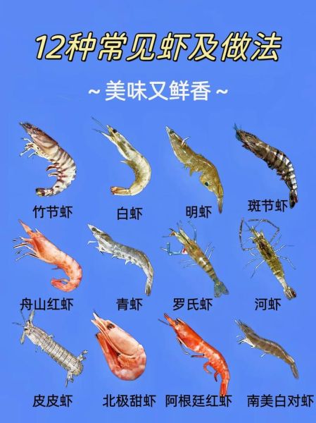 海虾种类大全_常见海虾品种有哪些-第3张图片-山城妙识 海虾种类大全_常见海虾品种有哪些-第3张图片-山城妙识