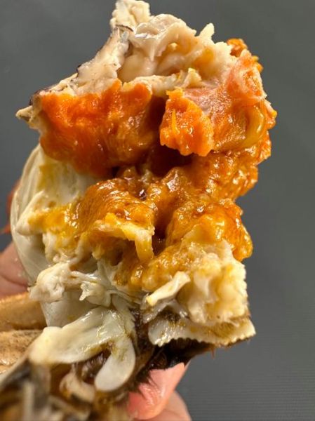 阳澄湖的大闸蟹多少钱一斤_正宗阳澄湖蟹价格表-第3张图片-山城妙识