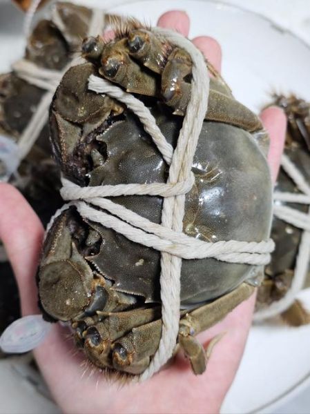 阳澄湖的大闸蟹多少钱一斤_正宗阳澄湖蟹价格表-第2张图片-山城妙识