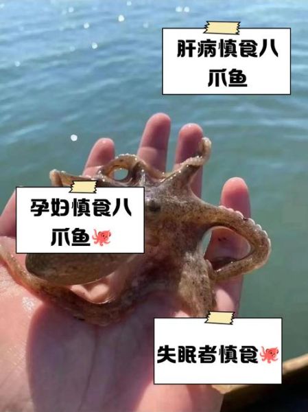八爪鱼内脏怎么处理_八爪鱼内脏哪些不能吃-第2张图片-山城妙识
