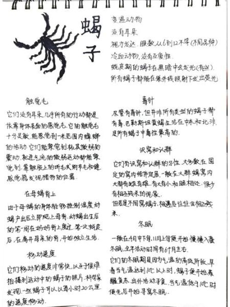 蝎子怎么养_新手养蝎子常见问题-第2张图片-山城妙识 蝎子怎么养_新手养蝎子常见问题-第2张图片-山城妙识