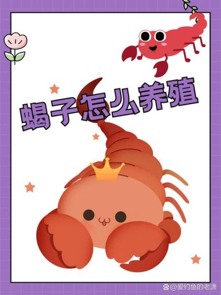 蝎子怎么养_新手养蝎子常见问题-第3张图片-山城妙识 蝎子怎么养_新手养蝎子常见问题-第3张图片-山城妙识