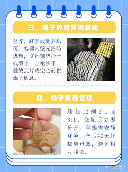 蝎子怎么养_新手养蝎子常见问题-第1张图片-山城妙识 蝎子怎么养_新手养蝎子常见问题-第1张图片-山城妙识