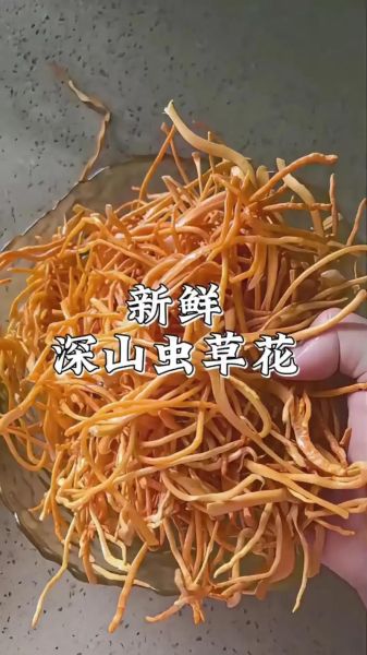 金虫草花有什么功效_金虫草花怎么吃好-第1张图片-山城妙识
