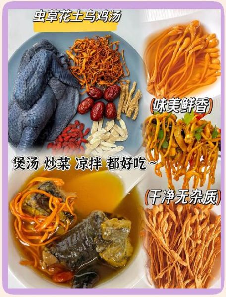 金虫草花有什么功效_金虫草花怎么吃好-第3张图片-山城妙识