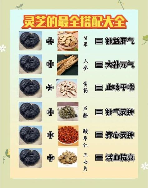 灵芝泡水喝的功效与作用_灵芝泡水喝的正确方法-第1张图片-山城妙识