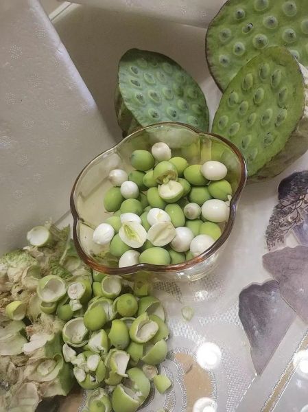 莲蓬怎么吃_莲蓬可以生吃吗-第2张图片-山城妙识 莲蓬怎么吃_莲蓬可以生吃吗-第2张图片-山城妙识