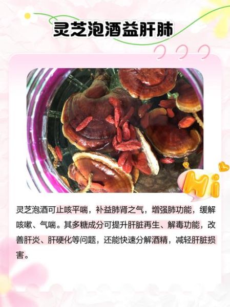 灵芝泡水喝的功效与作用_灵芝泡水喝的正确方法-第2张图片-山城妙识