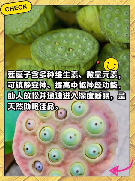 莲蓬怎么吃_莲蓬可以生吃吗-第1张图片-山城妙识 莲蓬怎么吃_莲蓬可以生吃吗-第1张图片-山城妙识