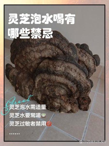 灵芝泡水喝的功效与作用_灵芝泡水喝的正确方法-第3张图片-山城妙识