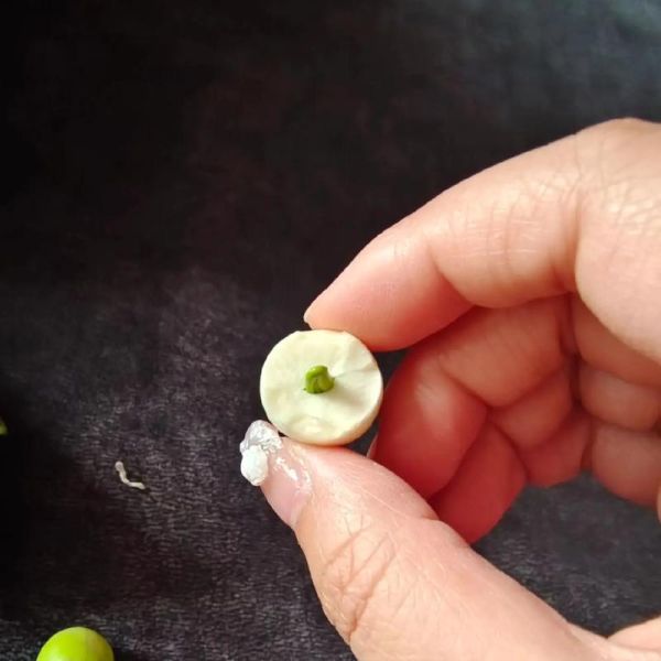 莲蓬怎么吃_莲蓬可以生吃吗-第3张图片-山城妙识 莲蓬怎么吃_莲蓬可以生吃吗-第3张图片-山城妙识