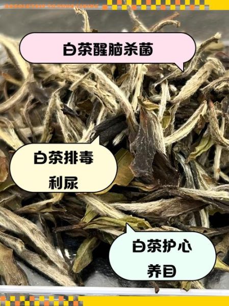 福鼎白茶怎么保存_福鼎白茶的功效与作用-第3张图片-山城妙识