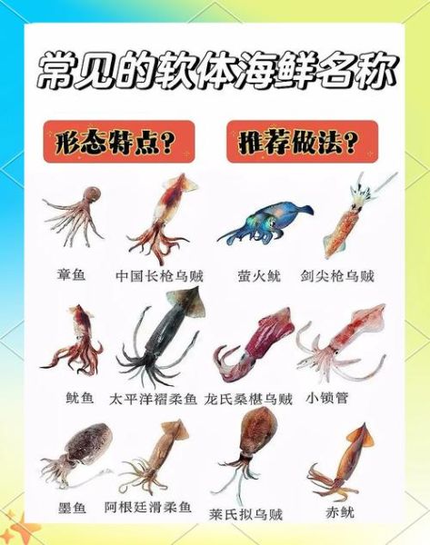 海鲜种类大全图片_如何分辨常见海鲜-第1张图片-山城妙识 海鲜种类大全图片_如何分辨常见海鲜-第1张图片-山城妙识