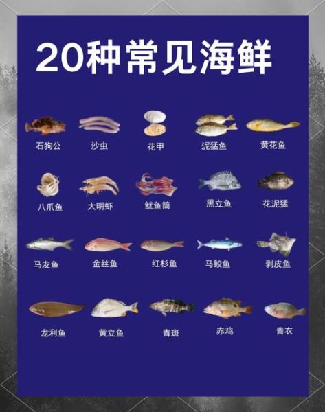 海鲜种类大全图片_如何分辨常见海鲜-第3张图片-山城妙识 海鲜种类大全图片_如何分辨常见海鲜-第3张图片-山城妙识