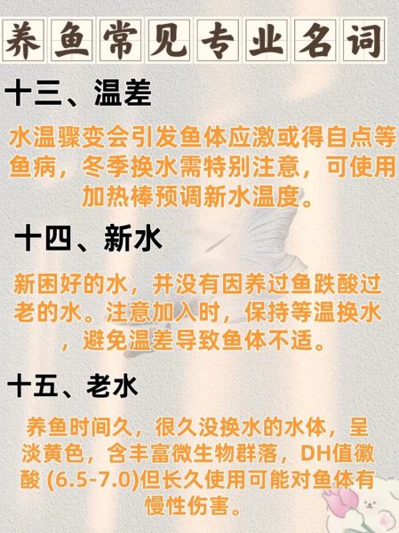 养鱼是什么意思_网络用语养鱼解析-第3张图片-山城妙识