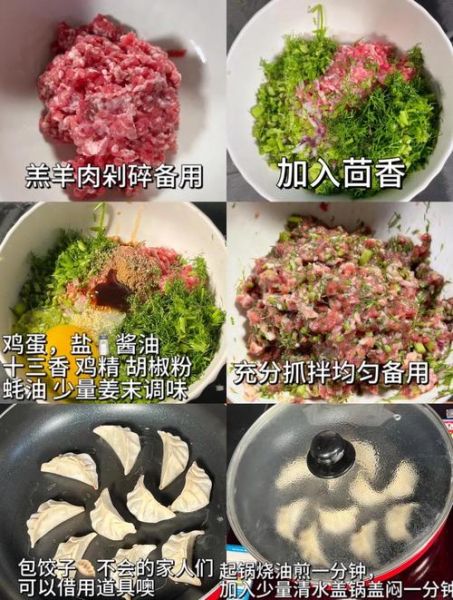 羊肉茴香饺子馅怎么调好吃_羊肉茴香饺子馅做法窍门-第1张图片-山城妙识