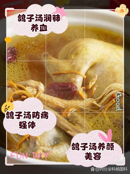 鸽子汤的功效与禁忌_什么人不能喝鸽子汤-第2张图片-山城妙识