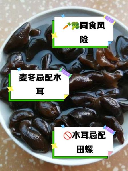 木耳中毒一般在几小时_木耳中毒症状多久出现-第3张图片-山城妙识 木耳中毒一般在几小时_木耳中毒症状多久出现-第3张图片-山城妙识