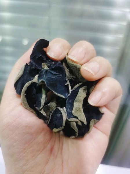 木耳中毒一般在几小时_木耳中毒症状多久出现-第2张图片-山城妙识 木耳中毒一般在几小时_木耳中毒症状多久出现-第2张图片-山城妙识