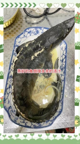 鲟鱼吃什么饵料_鲟鱼饵料配方大全-第3张图片-山城妙识 鲟鱼吃什么饵料_鲟鱼饵料配方大全-第3张图片-山城妙识