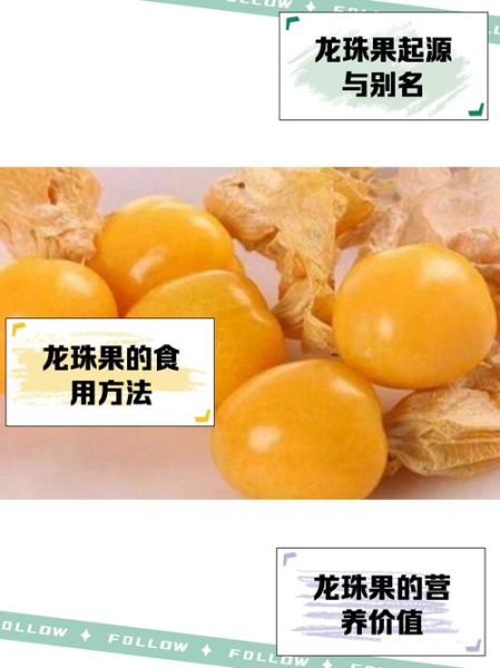 哥伦比亚龙珠果怎么吃_哥伦比亚龙珠果功效与禁忌-第1张图片-山城妙识 哥伦比亚龙珠果怎么吃_哥伦比亚龙珠果功效与禁忌-第1张图片-山城妙识