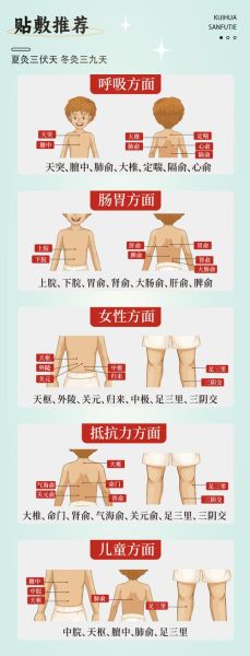 三伏贴适合什么人贴_三伏贴什么时候贴最好-第2张图片-山城妙识