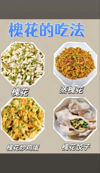槐花怎么吃_槐花有哪些食用方法-第2张图片-山城妙识