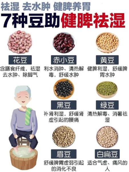 豆类有哪些品种_常见豆类名称与图片对照-第3张图片-山城妙识