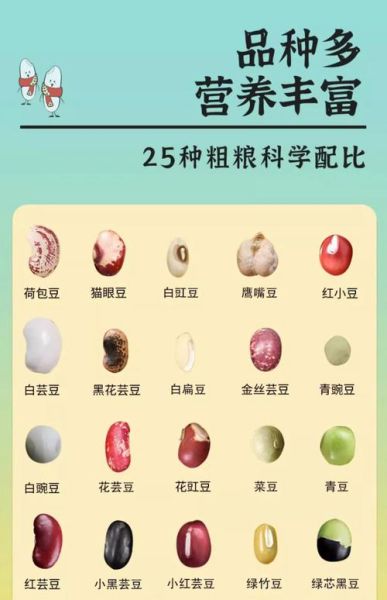 豆类有哪些品种_常见豆类名称与图片对照-第1张图片-山城妙识