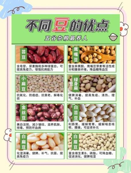 豆类有哪些品种_常见豆类名称与图片对照-第2张图片-山城妙识