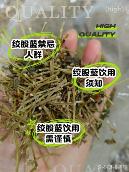 长期喝绞股蓝的副作用_哪些人不能喝-第1张图片-山城妙识