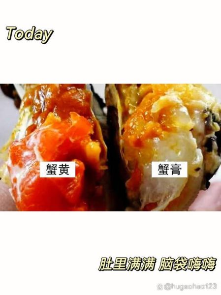 蟹膏是螃蟹的什么_蟹膏和蟹黄的区别-第1张图片-山城妙识
