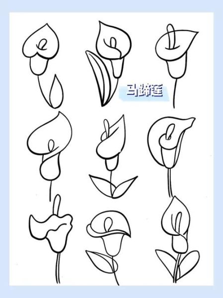 马蹄莲简笔画怎么画_马蹄莲简笔画步骤-第1张图片-山城妙识