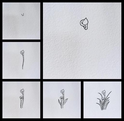 马蹄莲简笔画怎么画_马蹄莲简笔画步骤-第2张图片-山城妙识