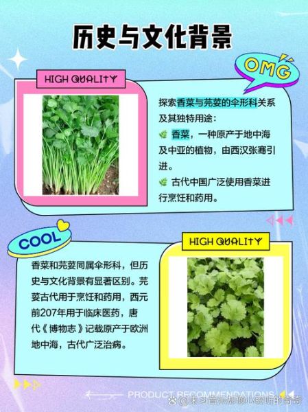 芫荽和香菜哪个是方言_区别与来源-第1张图片-山城妙识 芫荽和香菜哪个是方言_区别与来源-第1张图片-山城妙识