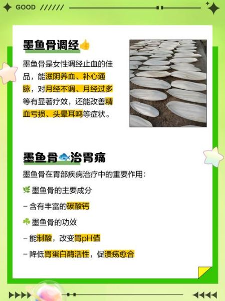 墨鱼骨是什么东西_墨鱼骨有什么作用-第1张图片-山城妙识