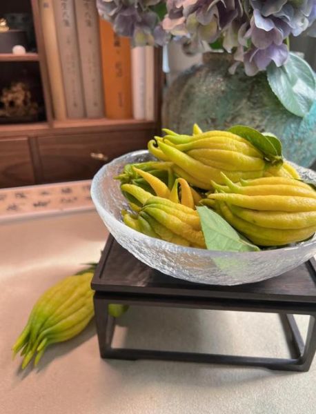 佛手多少钱一斤_新鲜佛手价格行情-第2张图片-山城妙识