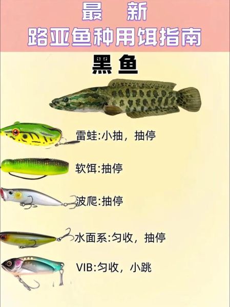 钓鱼禁用饵料有哪些_为什么被禁止-第1张图片-山城妙识