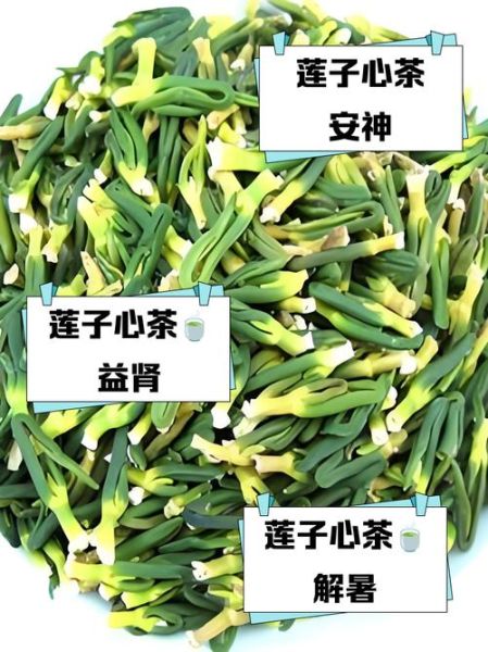 莲子心可以长期泡水喝吗_莲子心泡水副作用-第1张图片-山城妙识