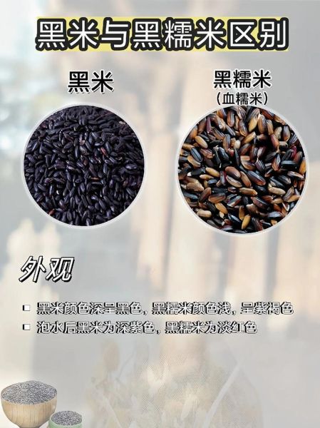 黑糯米和黑米的区别_哪个更营养-第1张图片-山城妙识 黑糯米和黑米的区别_哪个更营养-第1张图片-山城妙识