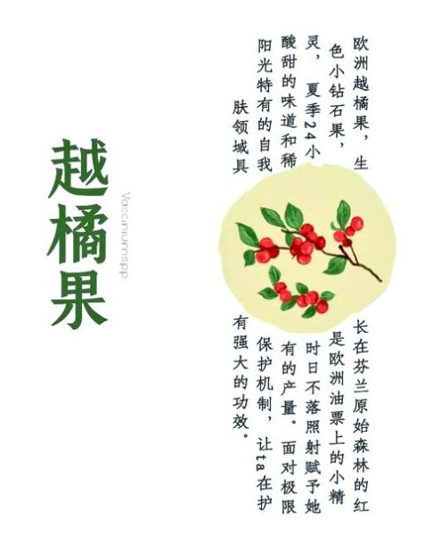 越橘提取物对眼睛有什么好处_越橘提取物副作用有哪些-第2张图片-山城妙识