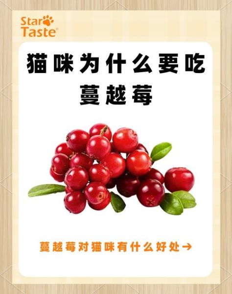 蔓越莓禁忌人群_蔓越莓副作用有哪些-第1张图片-山城妙识