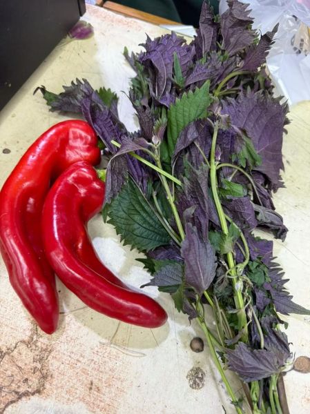 朝鲜辣酱怎么做最正宗_朝鲜辣酱配方比例-第1张图片-山城妙识 朝鲜辣酱怎么做最正宗_朝鲜辣酱配方比例-第1张图片-山城妙识