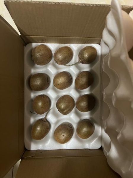 猕猴桃怎么保存不会烂_猕猴桃常温能放多久-第2张图片-山城妙识