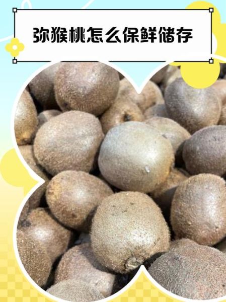 猕猴桃怎么保存不会烂_猕猴桃常温能放多久-第1张图片-山城妙识