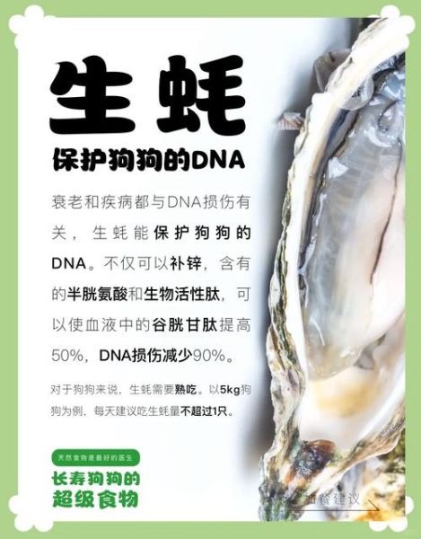 生蚝的功效与作用禁忌_哪些人不能吃生蚝-第3张图片-山城妙识
